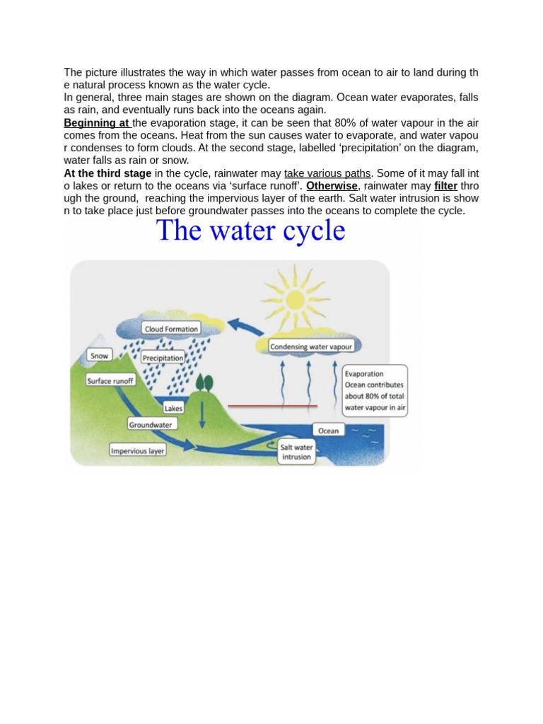 Water Cycle and Plastic Recycling Process | PDF