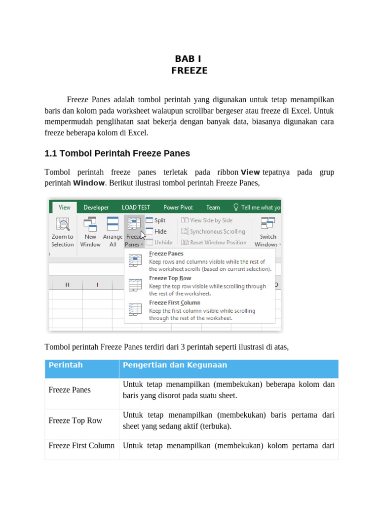 Kegunaan Freeze Panes di Excel | PDF