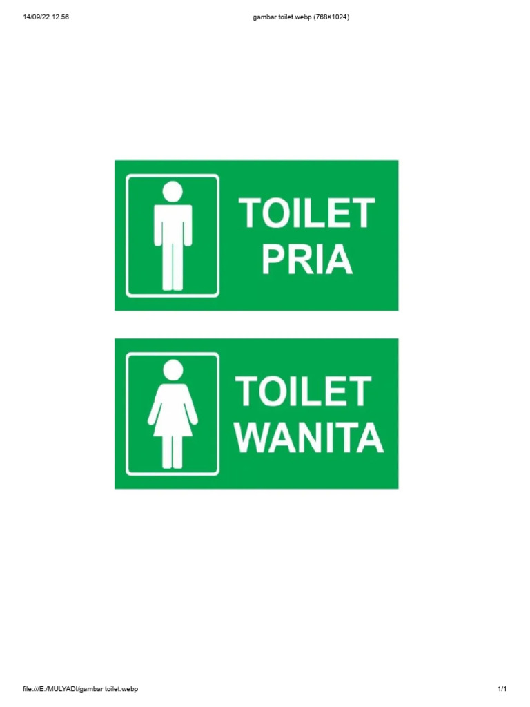 Gambar Toilet | PDF