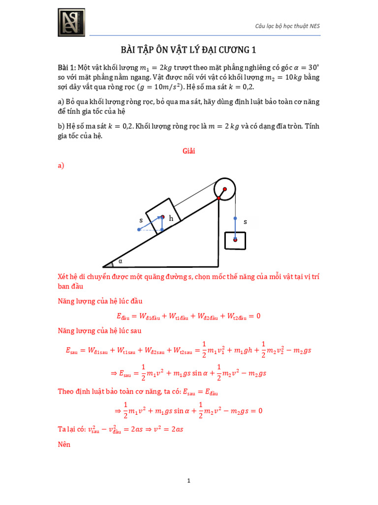 Nes K21 VLDC1 Da | PDF