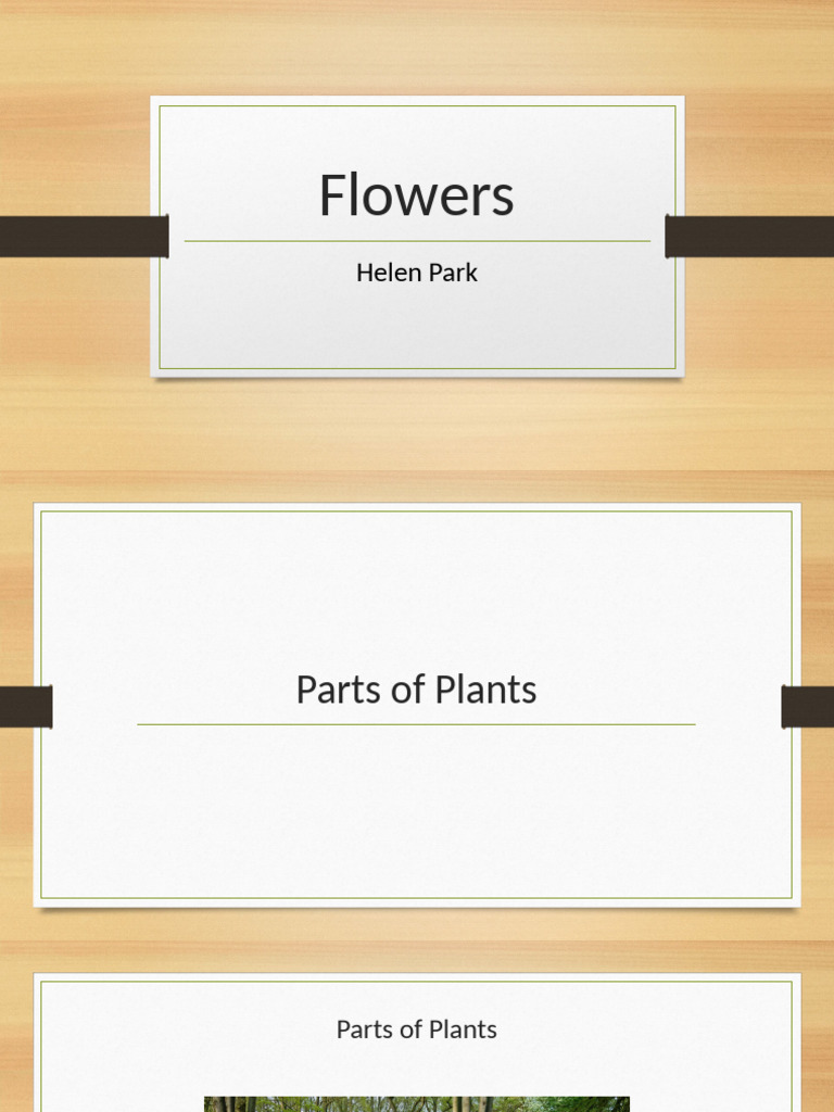 Flowers Final | PDF