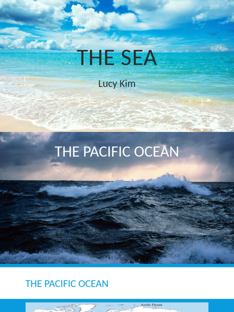 The Sea Final | PDF