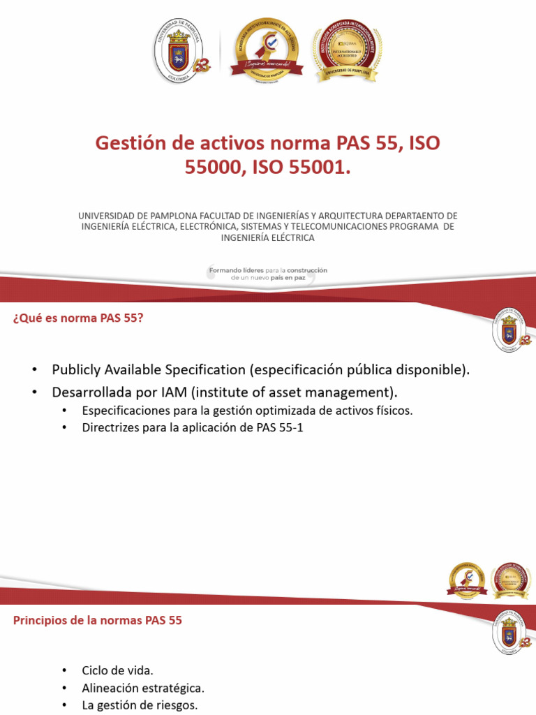 Pas 55-Iso55000 | PDF | Gestión de activos | Planificación