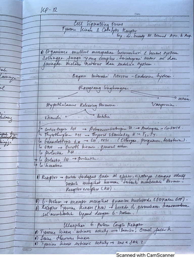KP 12 | PDF