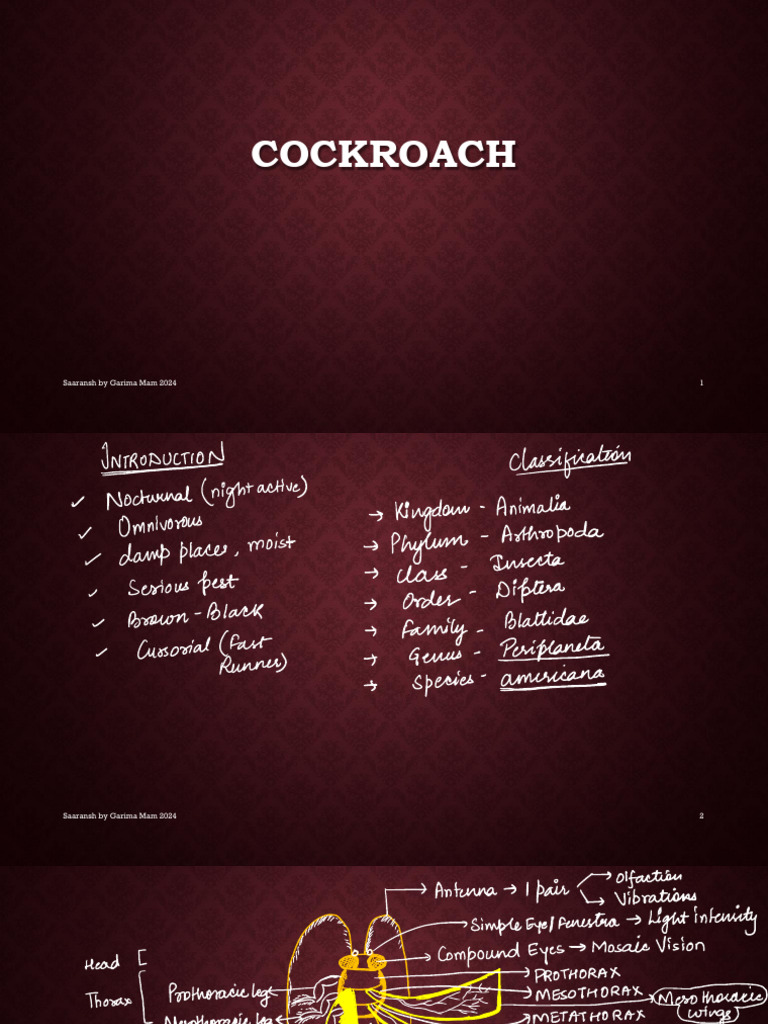 Cockroach and Frog | PDF