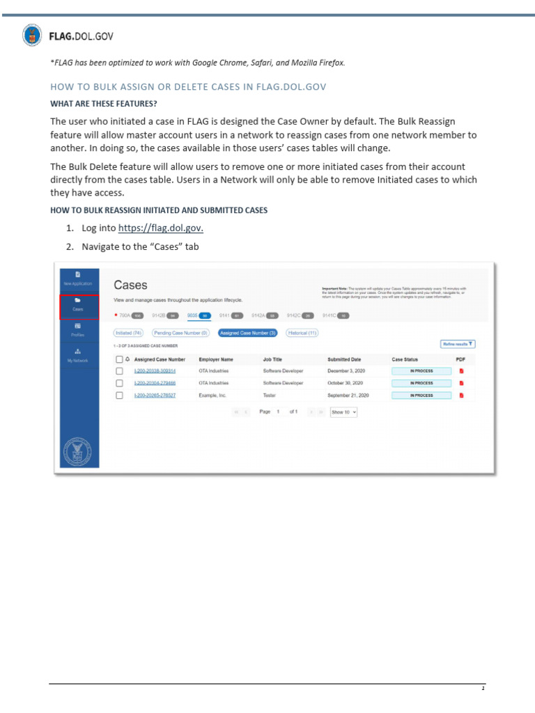 Bulk Manage Cases in FLAG System | PDF | Software | Computing