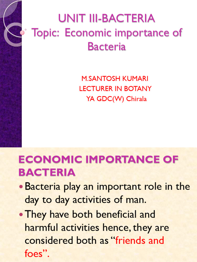 Economic Importance of Bacteria | PDF | Bacteria | Decomposition