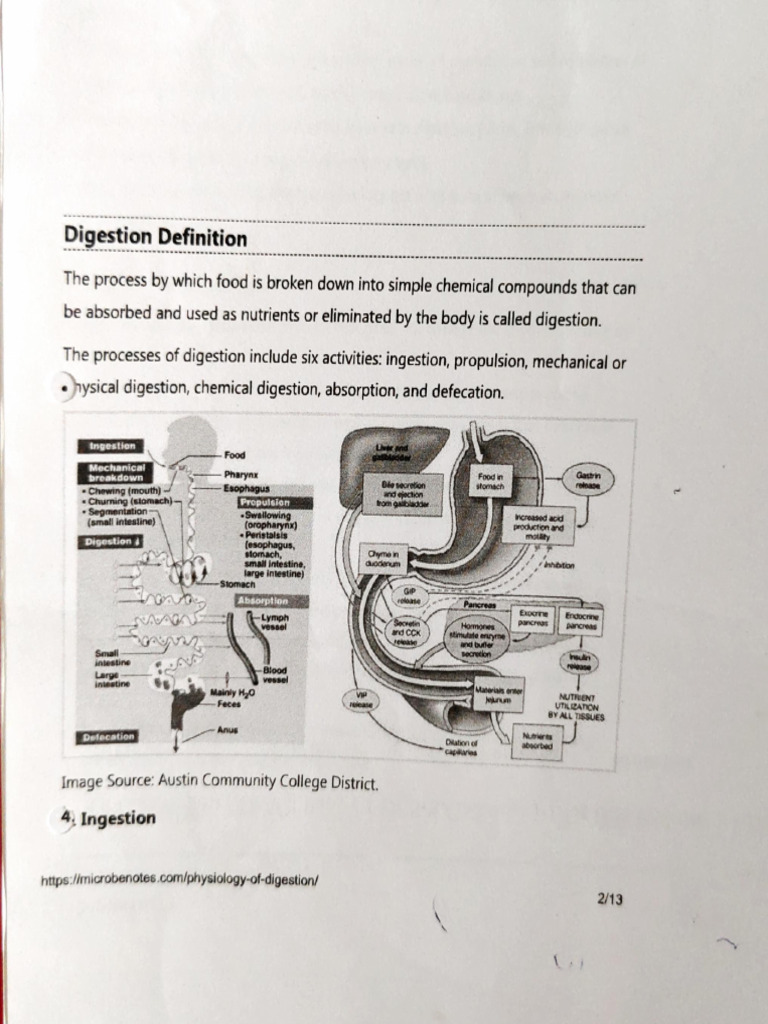 Physiology of Digestion | PDF