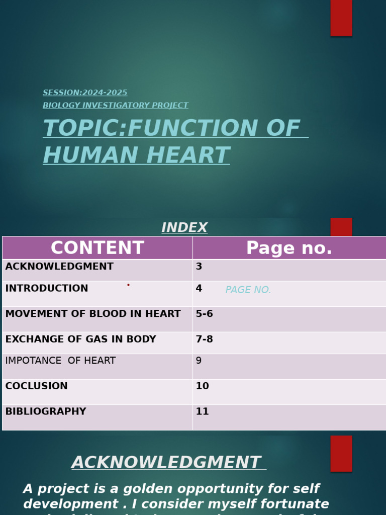BIO PROJECTS | PDF | Ventricle (Heart) | Atrium (Heart)