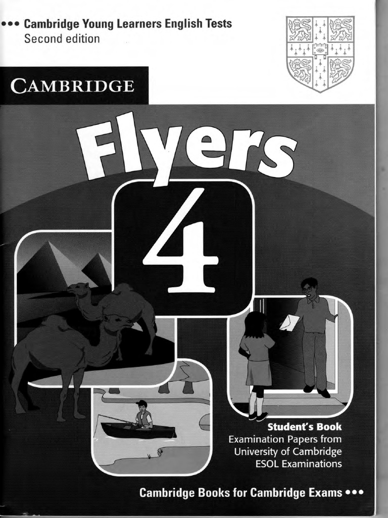Flyers 4 SB | PDF