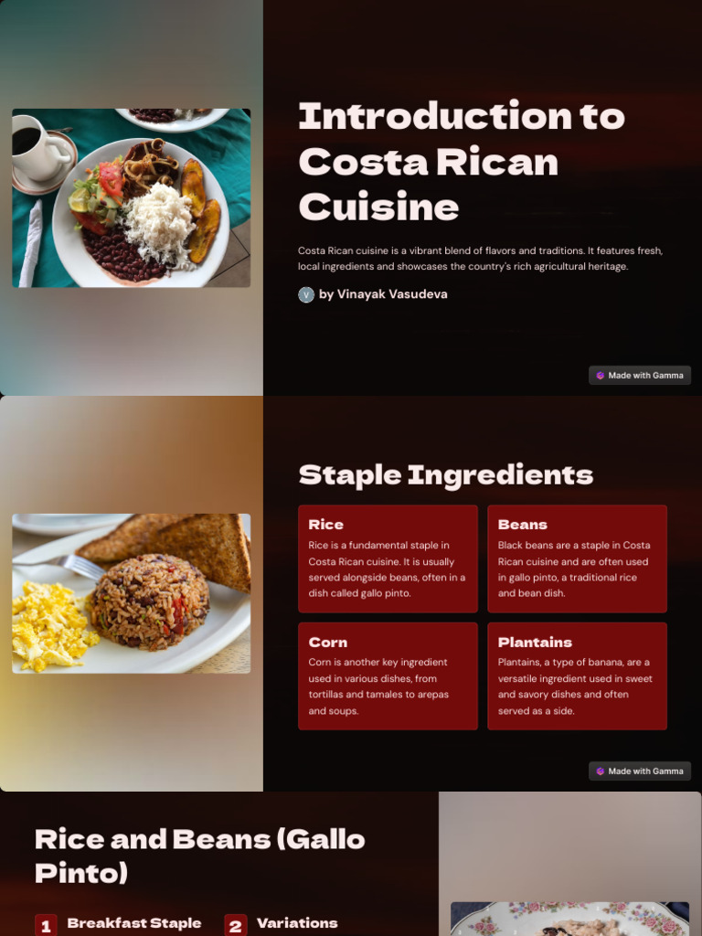 Introduction To Costa Rican Cuisine | PDF | Chinese Cuisine | Cooking