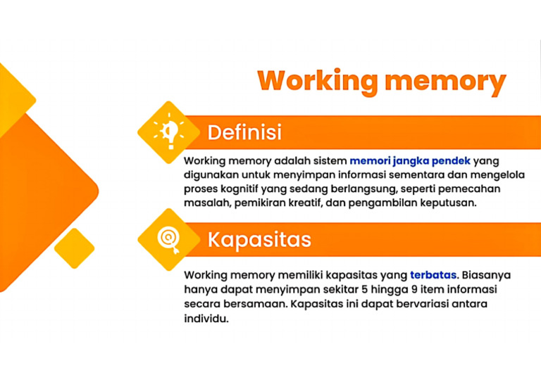 Working Memory | PDF