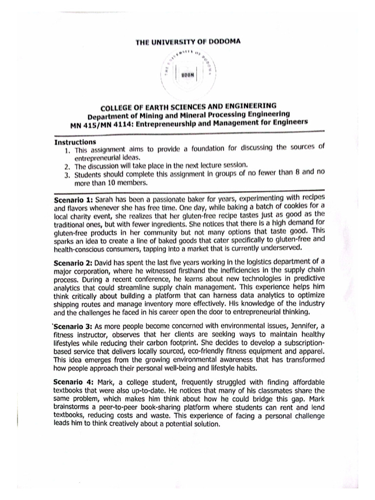 Entrepreneur Assignment | PDF