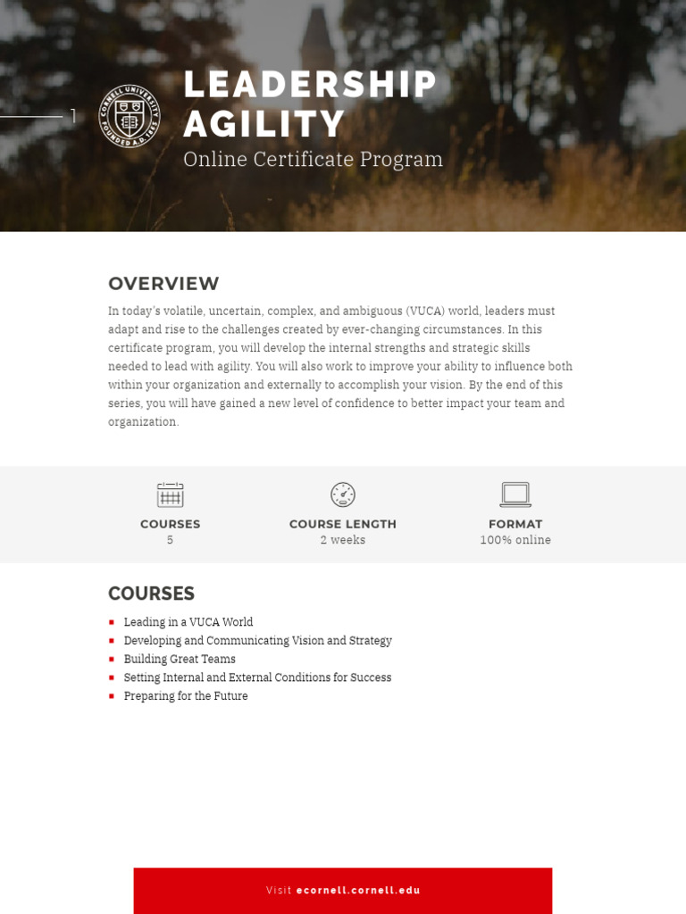 Leadership Agility | PDF | Strategic Management | Business