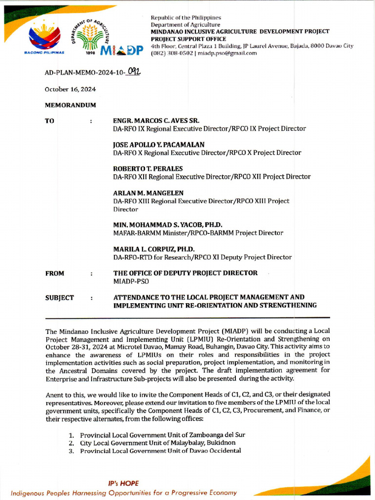 Ad Plan Memo 2024 10 092 | PDF