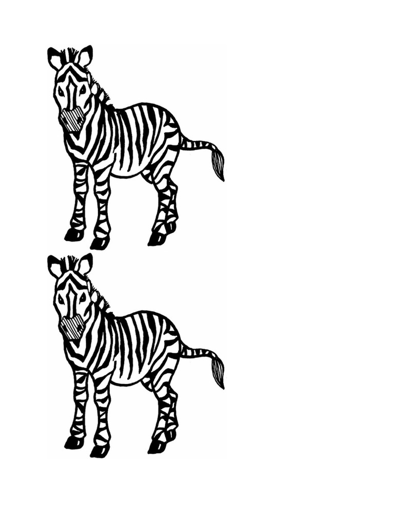 Zebre | PDF
