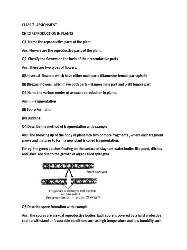 Plant Reproduction and Seed Dispersal | PDF | Flowers | Seed