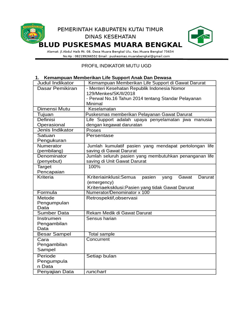 Profil Indikator Mutu Igd | PDF
