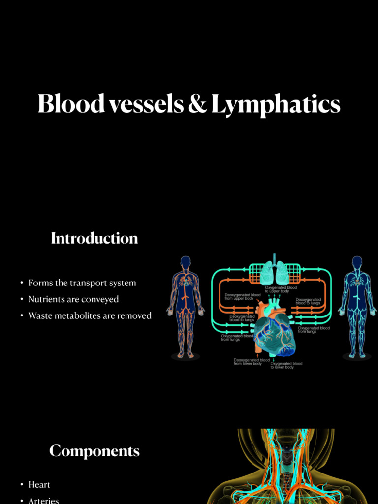 Blood Vessels & Lymphatics | PDF