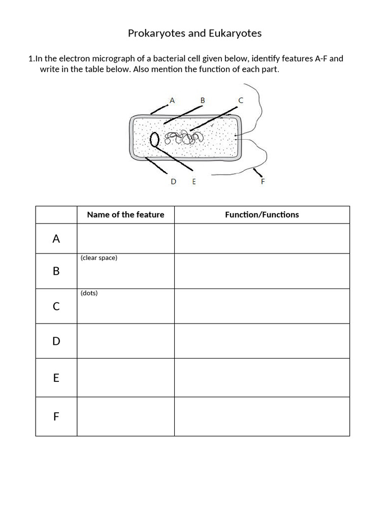 Prokaryotes Vs Eukaryotes Features Functions Pdf