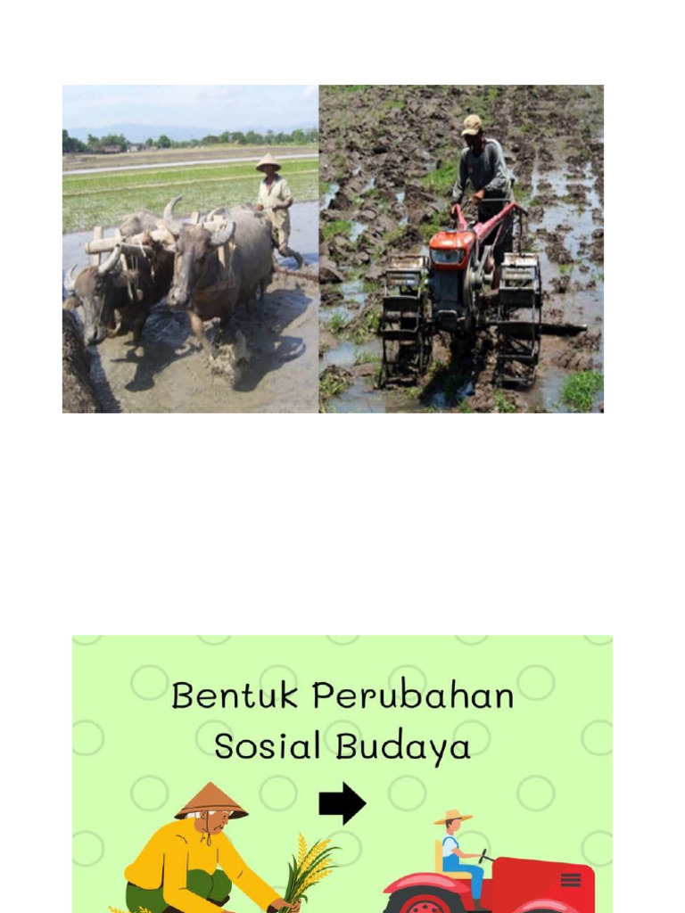 media ips buk des | PDF