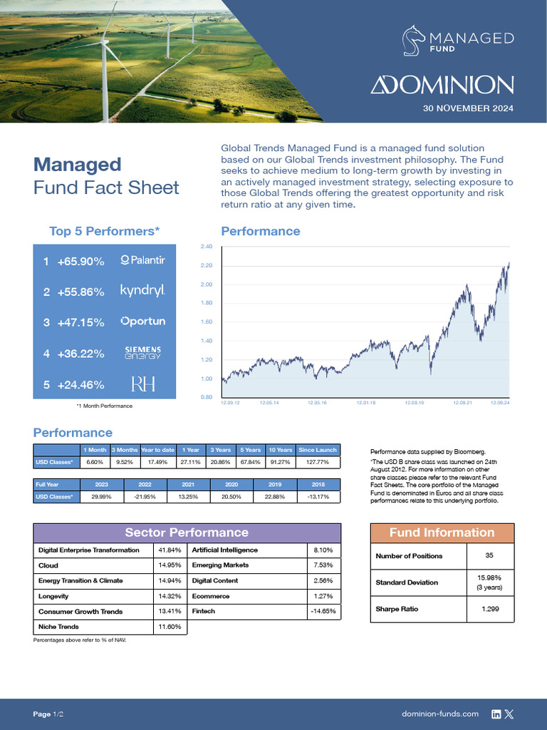 DGT_Managed_Fund_Factsheet_Nov2024 | PDF | Investing | Guernsey