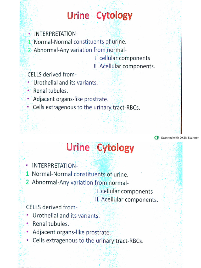 Pathology Practical | PDF