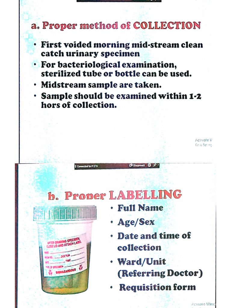 Pathology Practical | PDF