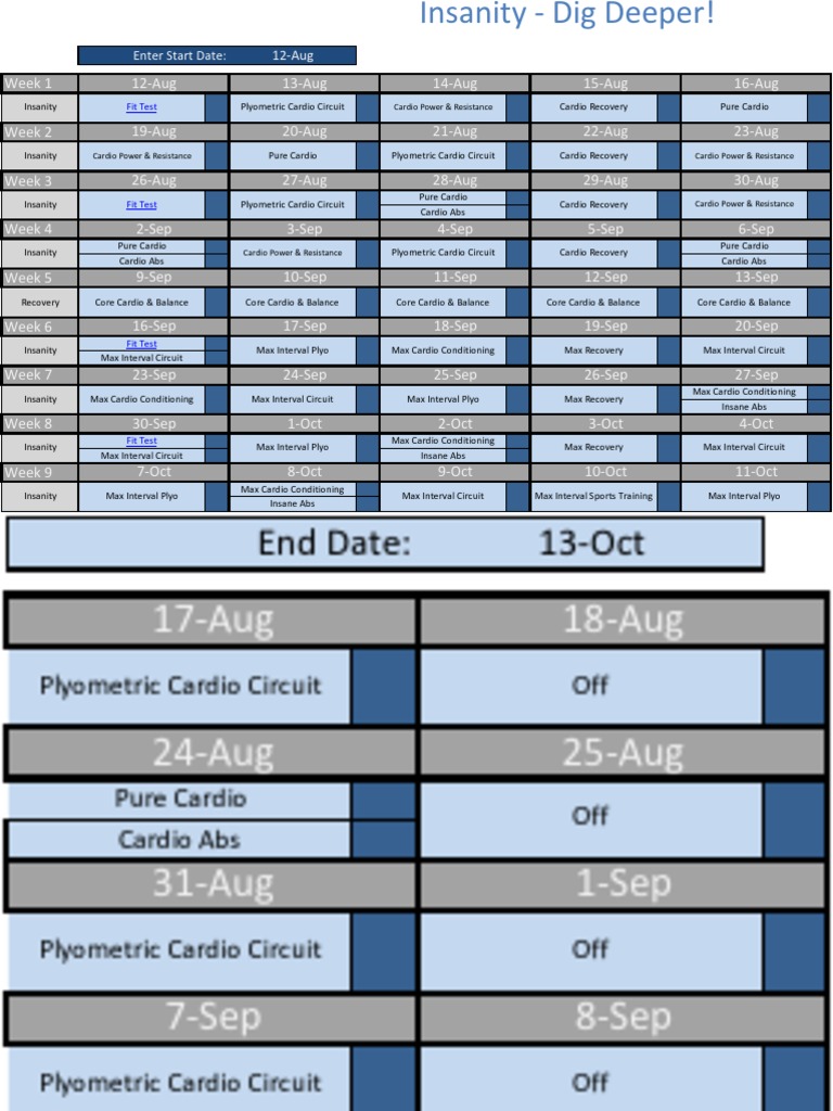 Insanity Workout Schedule Excel