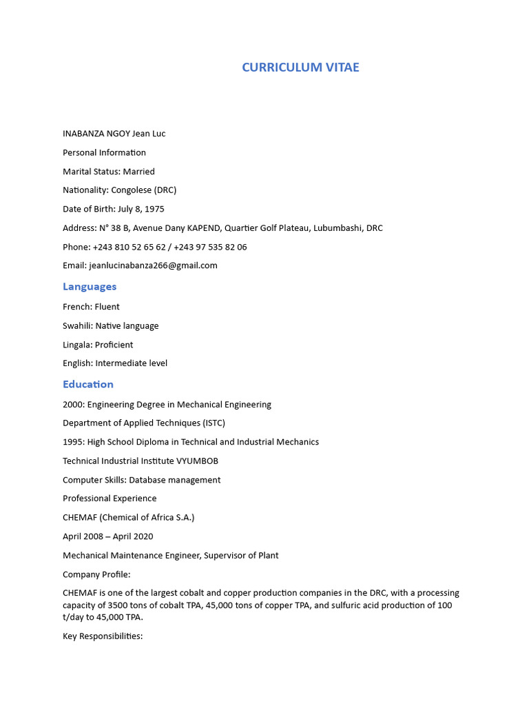 CV Ir Jean-Luc | PDF