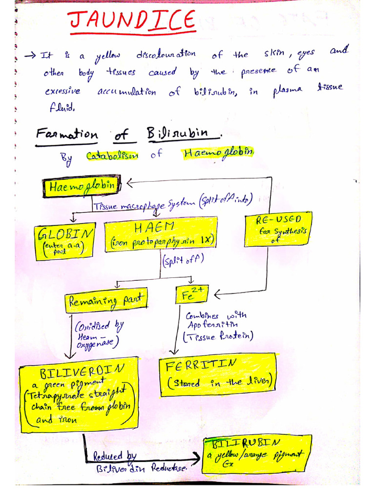JAUNDICE | PDF