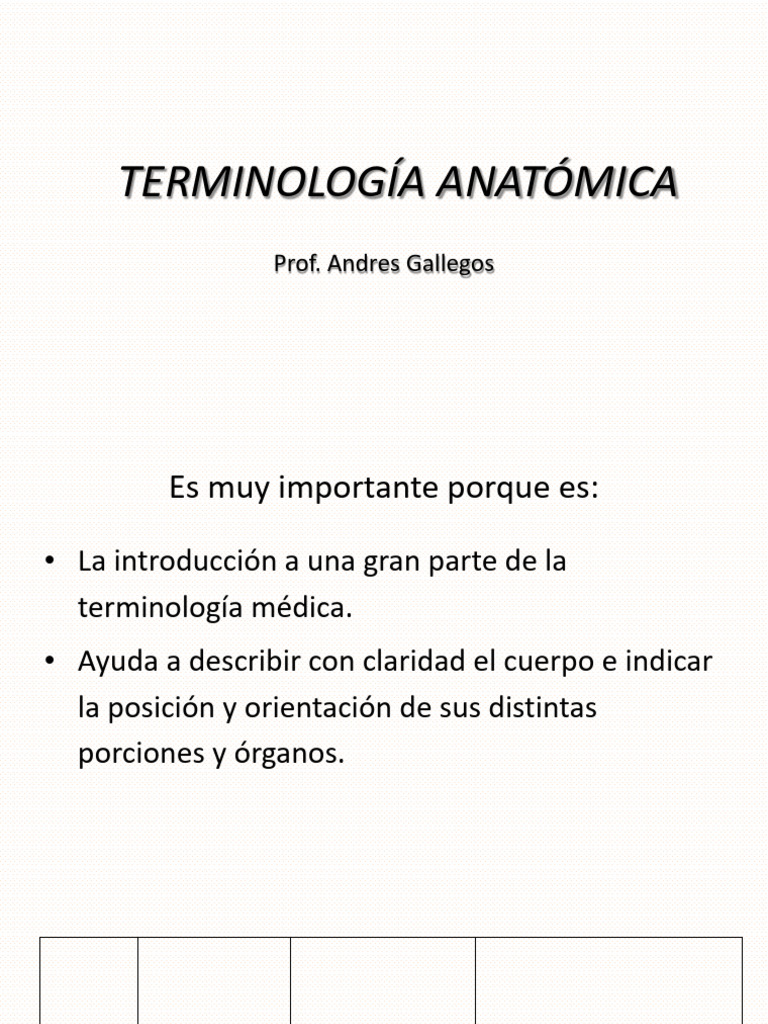 2 TERMINOLOGÍA ANATÓMICA (1) | PDF | Abdomen | Términos anatómicos de ...