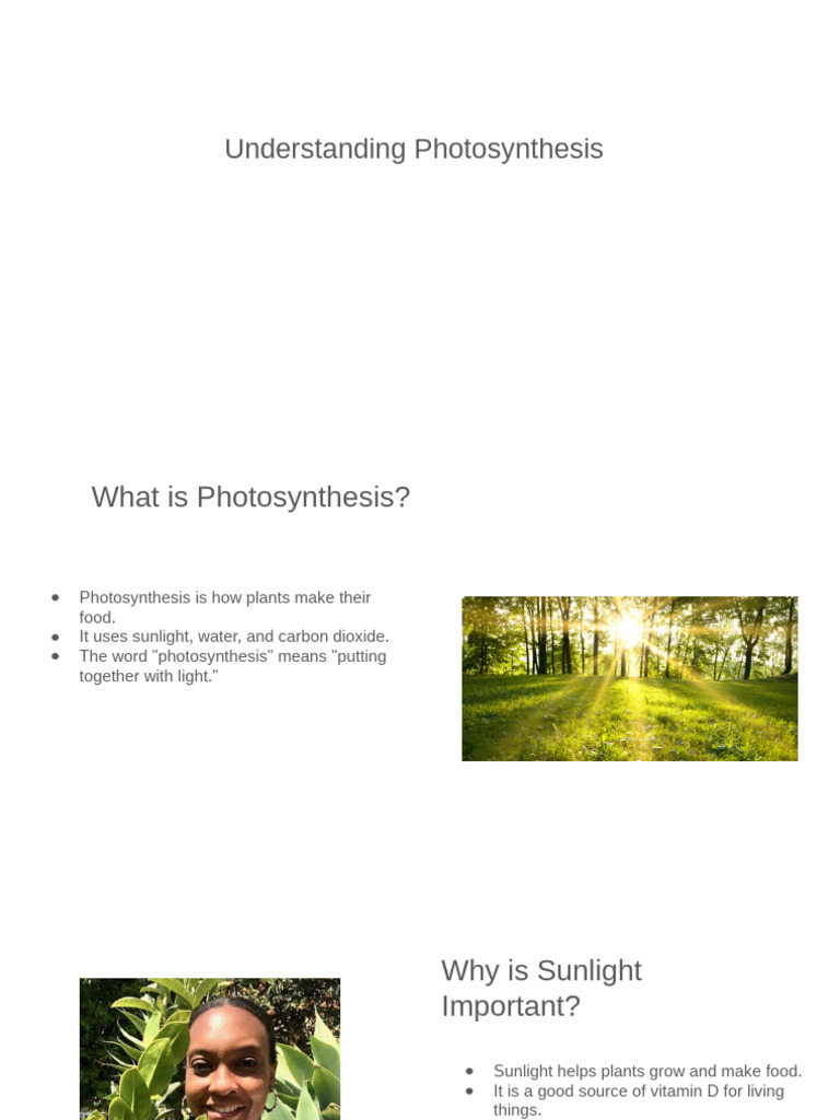 Photosynthesis GRADE 4 NATURAL SCIENCE | PDF