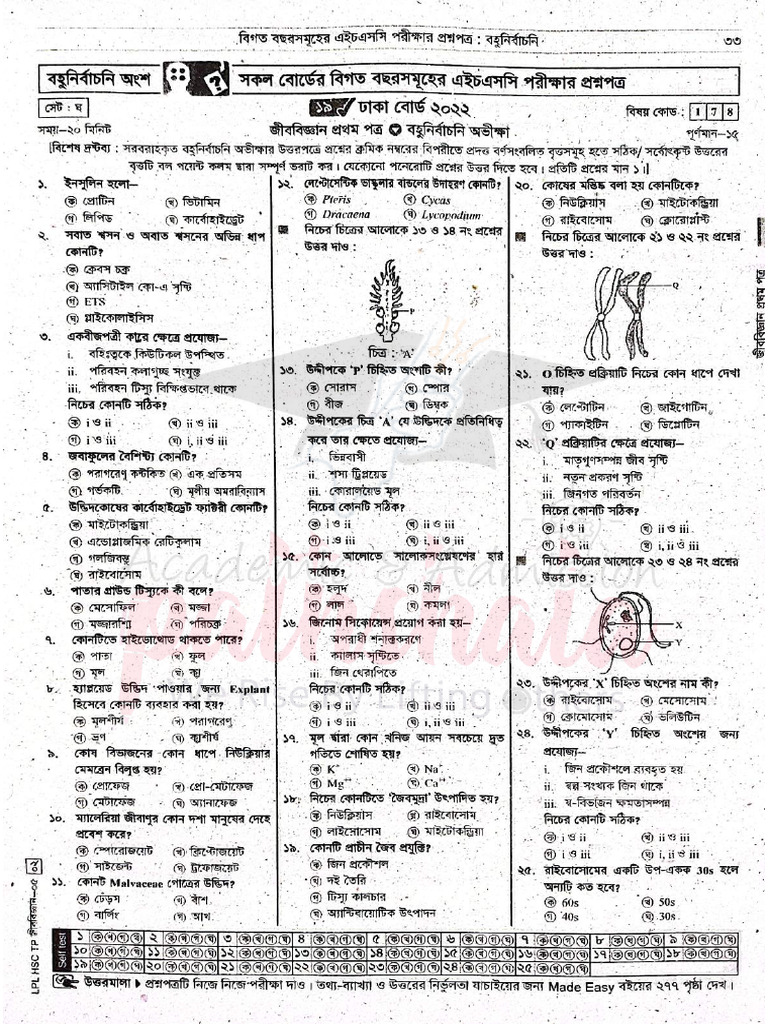 Test Paper MCQ-4 | PDF