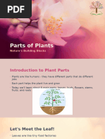 Activity Sheet Where Do Plants Live | PDF | Plants | Habitat