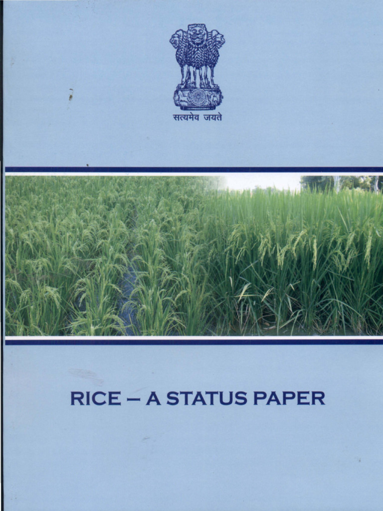 Status Paper On Rice | PDF | Rice | Cereals