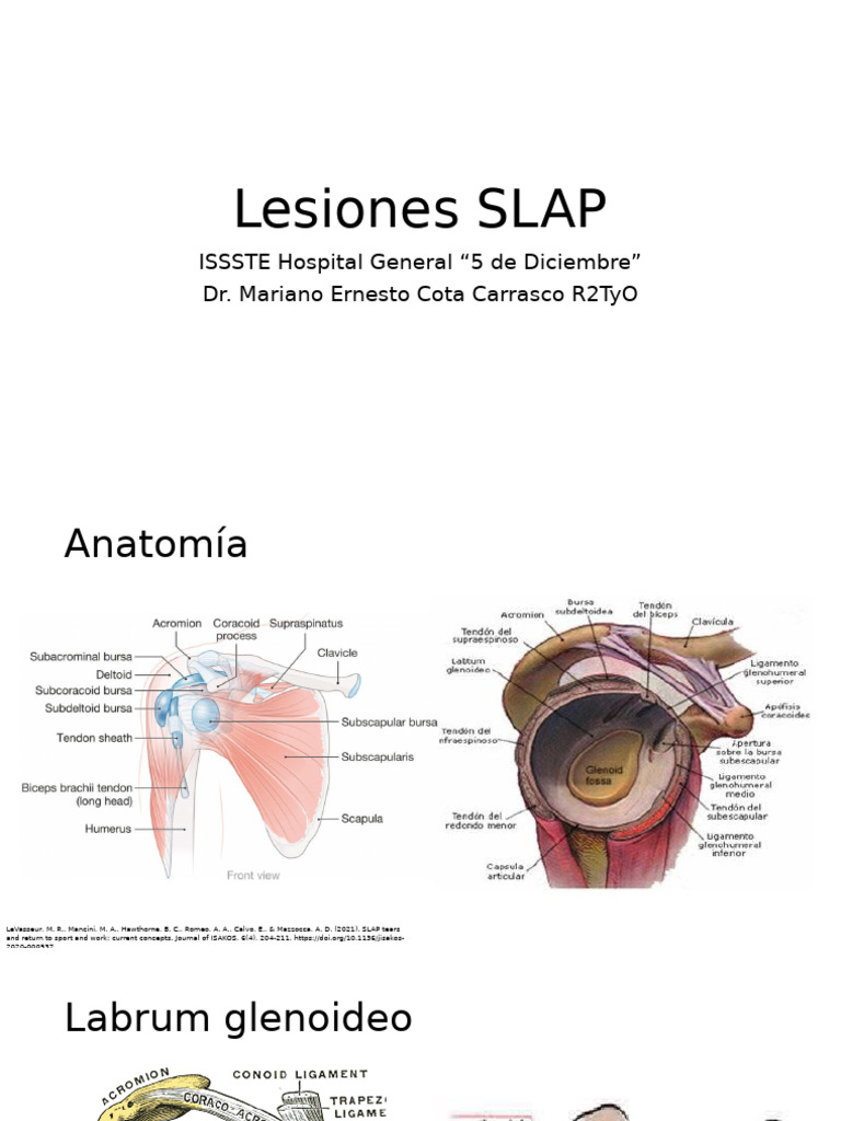 Lesiones SLAP | PDF | Hombro | Codo