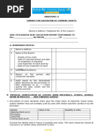 Annual Physical Verification Report | PDF
