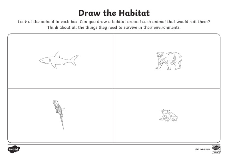 Draw The Habitat WORKSHEET | PDF