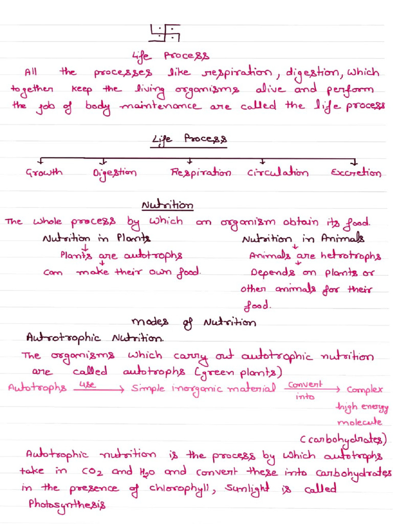 Life Processes | PDF