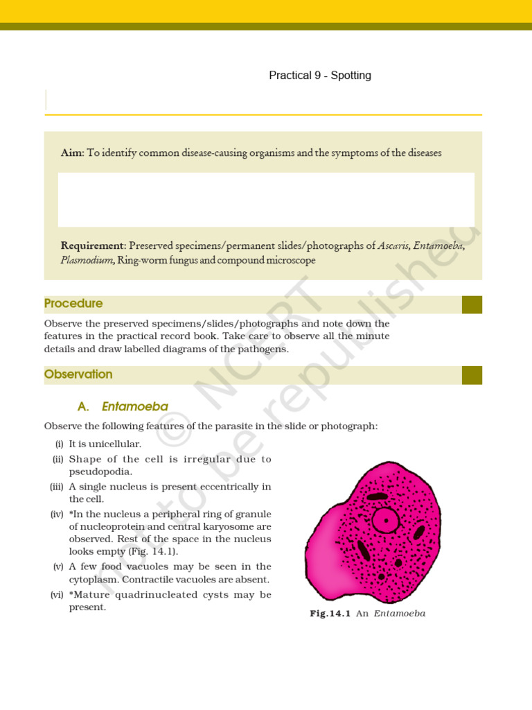 Identifying Common Disease Organisms | PDF | Medical Specialties ...