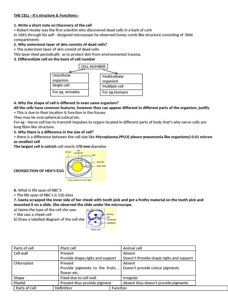 Science Extra Questions Final | PDF | Endoplasmic Reticulum | Electrolyte