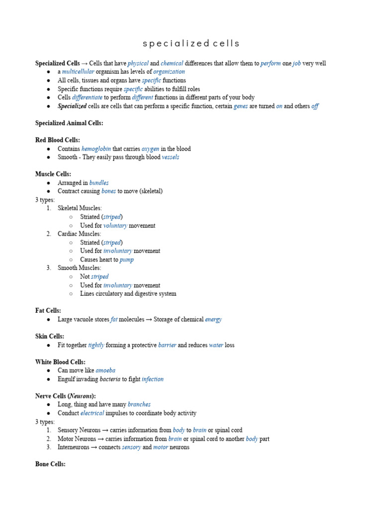 biology 2 notes | PDF | Respiratory Tract | Heart