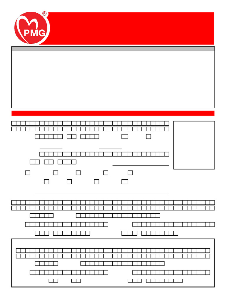 PMG Scholarship Application Form | PDF