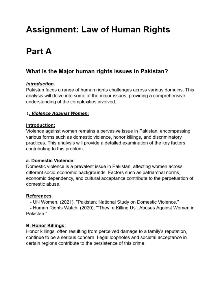 Law of Human Rights Assignment. Faizan Hayat | PDF | Sustainability ...