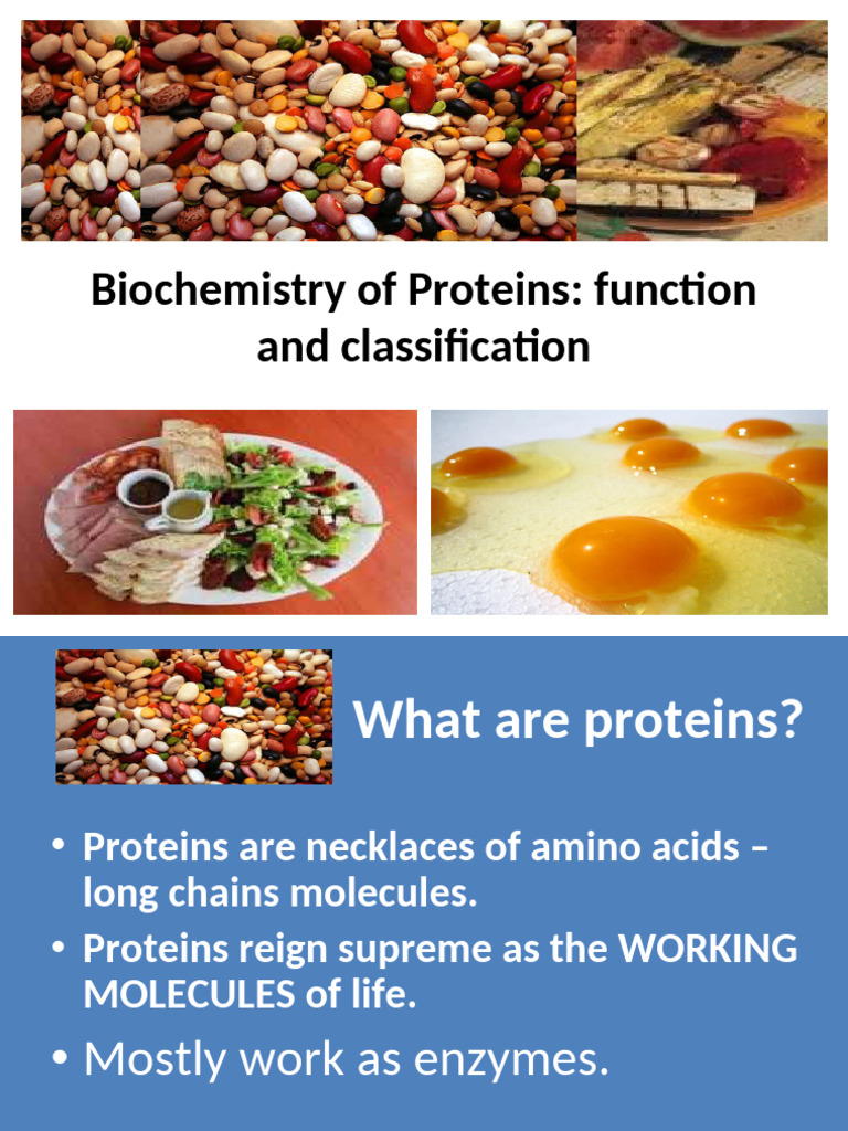Biochemistry of Proteins, Structure and Functions (1) | PDF