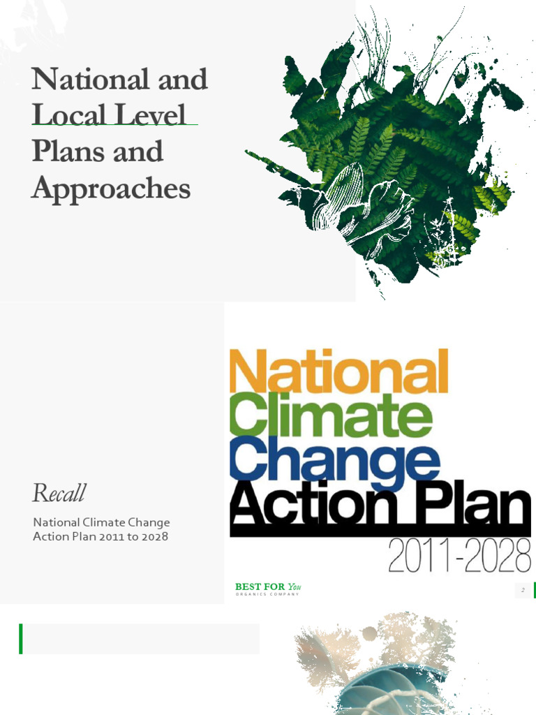 M6.1 National and Local Level Plans and Approaches | PDF | Disaster ...
