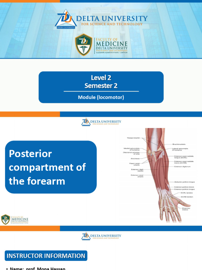 tomy l7 | PDF | Arm | Thumb