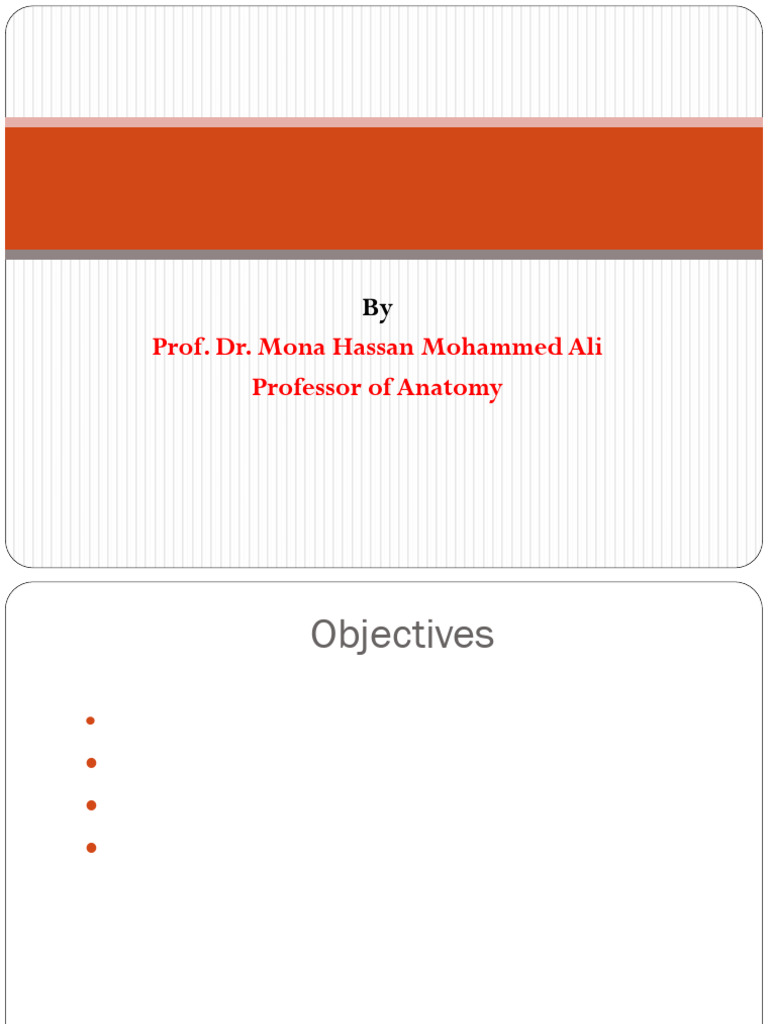 L15 Embryology Development of Skeletal Muscles (Locomotor System) | PDF ...