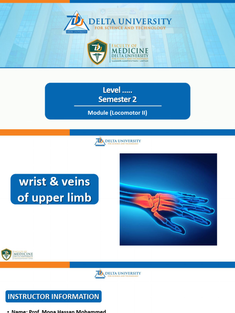 L14 Anatomy Wrist Joint & Veins of Upper Limb | PDF | Arm | Hand
